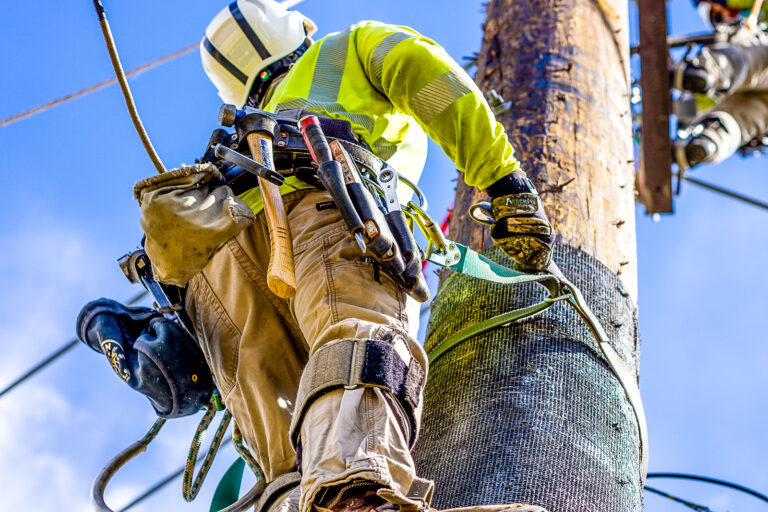 Why MYR Energy Services | Renewable Energy Solutions | Sustainability